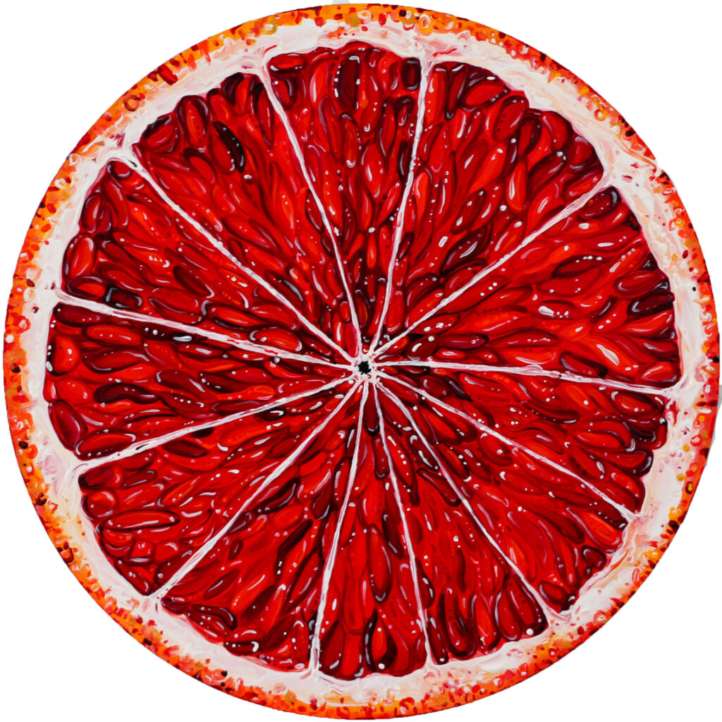 Kiwi II oil painting – Angela Faustina